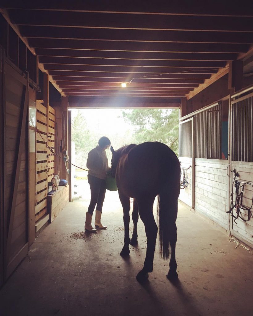 Gallery - Corbett Farm